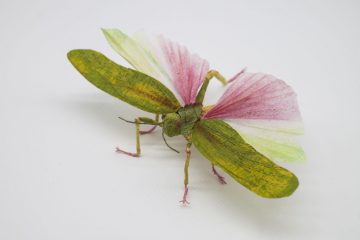 Artist Tina Kraus Creates Super Realistic Plants And Insects Using ...