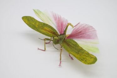 Artist Tina Kraus Creates Super Realistic Plants And Insects Using ...