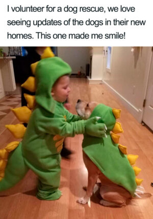 30 Adorable Dog Posts That Are Enough To Make Anyone's Day