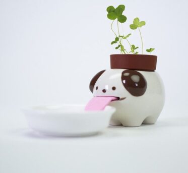 These Animal Planters Keep Themselves Hydrated By Drinking From Their ...