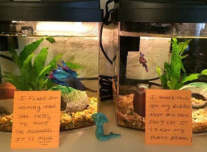 23 Hilarious Fishes Being Shamed For Their Naughty Crimes
