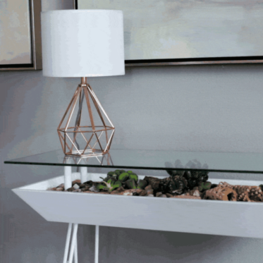 Beautiful Glass Table Also Functions As A Succulent Garden