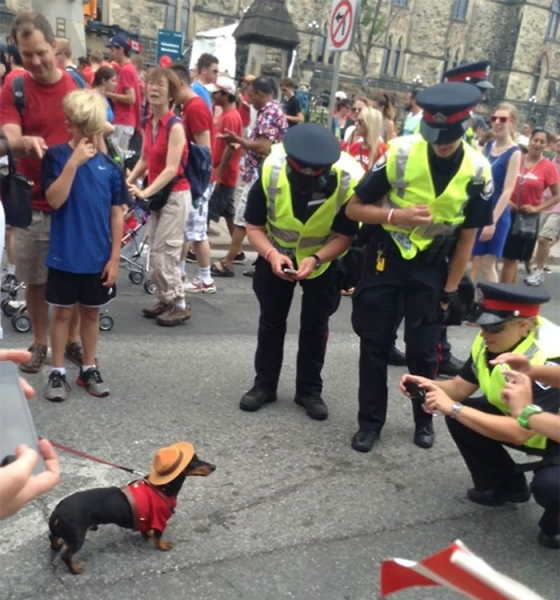 45 Hilarious Pictures That Sum Up Canada Perfectly