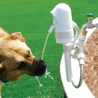 'WaterDog' Is A Motion Activated Drinking Fountain For Your Dog So They ...