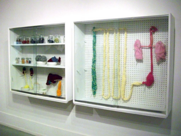 Artist Shanell Papp Spends 8 Months Crocheting An Anatomically Correct ...