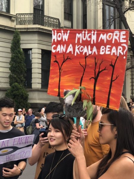 30 Clever Signs Spotted At The 2019 Global Climate Strike