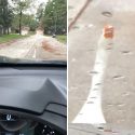 50 Times People Were Shocked At The Level These Birds Stooped To Be Jerks