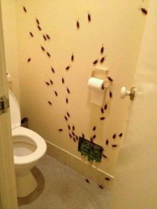 40 Of The Weirdest Toilets That Will Make You Appreciate The One You ...