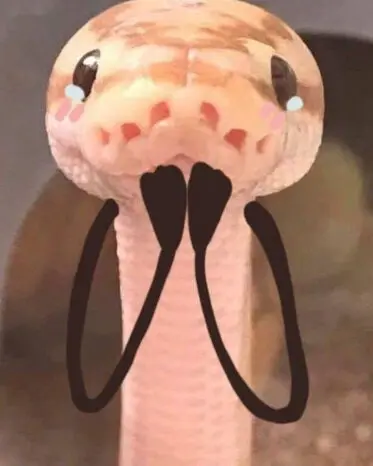 Snake Pics Are Getting A Doodle Makeover And The Results Are Beyond Funny