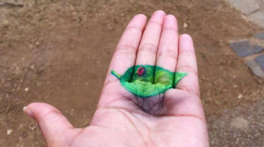 South African Artist Paints Cute 3D Art On Her Hands Of Little Animals ...