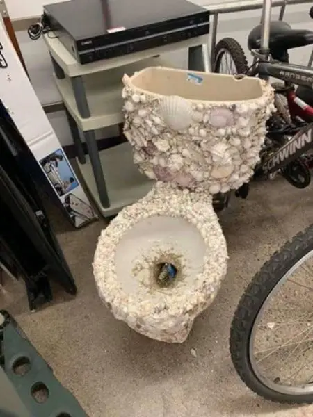 40 Of The Weirdest Toilets That Will Make You Appreciate The One You ...