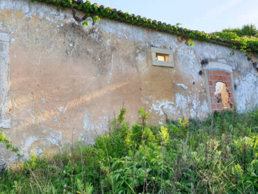 Graffiti Artist "Vile" Creates 3D Street Art Illusions Using Just Spray ...