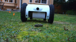 Meet 'Beetl' The Autonomous Robot That Hunts Down Dog Poop And Picks It ...