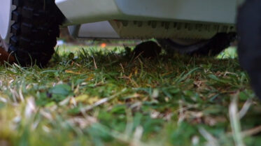 Meet 'Beetl' The Autonomous Robot That Hunts Down Dog Poop And Picks It ...