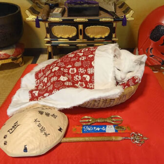 In Japan They Have A Shrine Dedicated To Cats And They Wear Little Monk ...