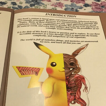 'PokéNatomy' Is A Book That Shows You What The Inside Of Pokémon Might ...