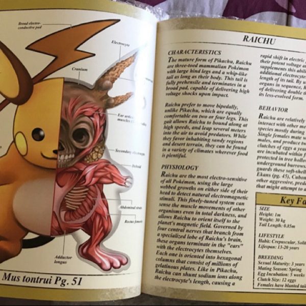 'PokéNatomy' Is A Book That Shows You What The Inside Of Pokémon Might ...