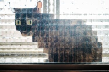 25 People Share Hilarious Times They Spotted A 'Pixel Cat' In Real Life