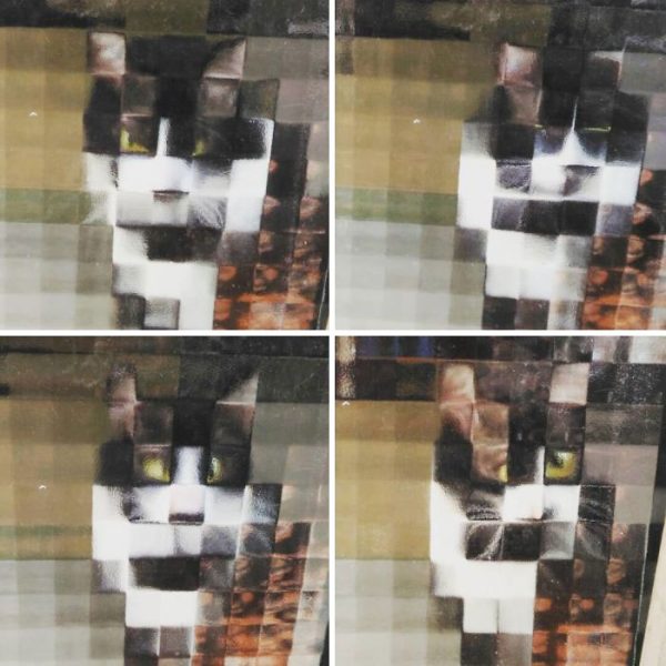 25 People Share Hilarious Times They Spotted A 'Pixel Cat' In Real Life