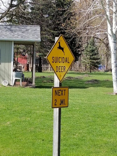 40 Threatening Signs People Have Seen That Don't Mess Around With Words