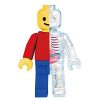 This Anatomical Brick Man Can Be Broken Down Piece By Piece