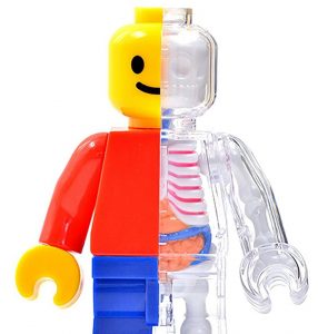 This Anatomical Brick Man Can Be Broken Down Piece By Piece