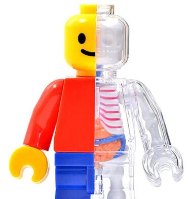 This Anatomical Brick Man Can Be Broken Down Piece By Piece