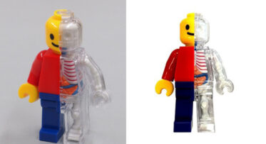 This Anatomical Brick Man Can Be Broken Down Piece By Piece