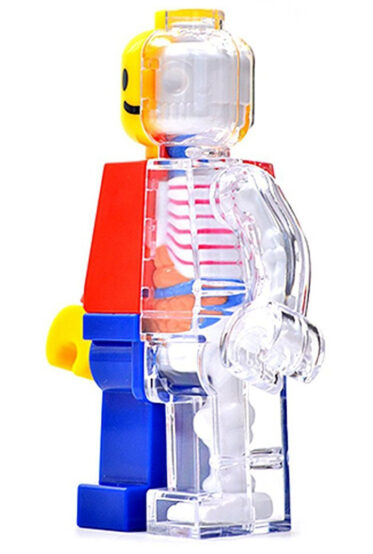This Anatomical Brick Man Can Be Broken Down Piece By Piece