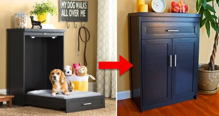 This Cute Fold-Up Murphy Dog Bed Doubles As A Stylish Cabinet To Help ...