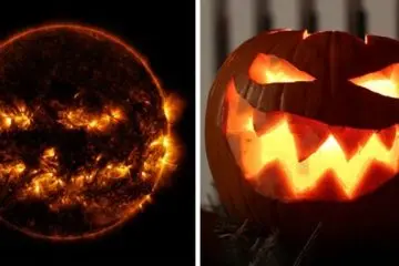 Ceramic Christmas Trees Are Making Comeback This Christmas