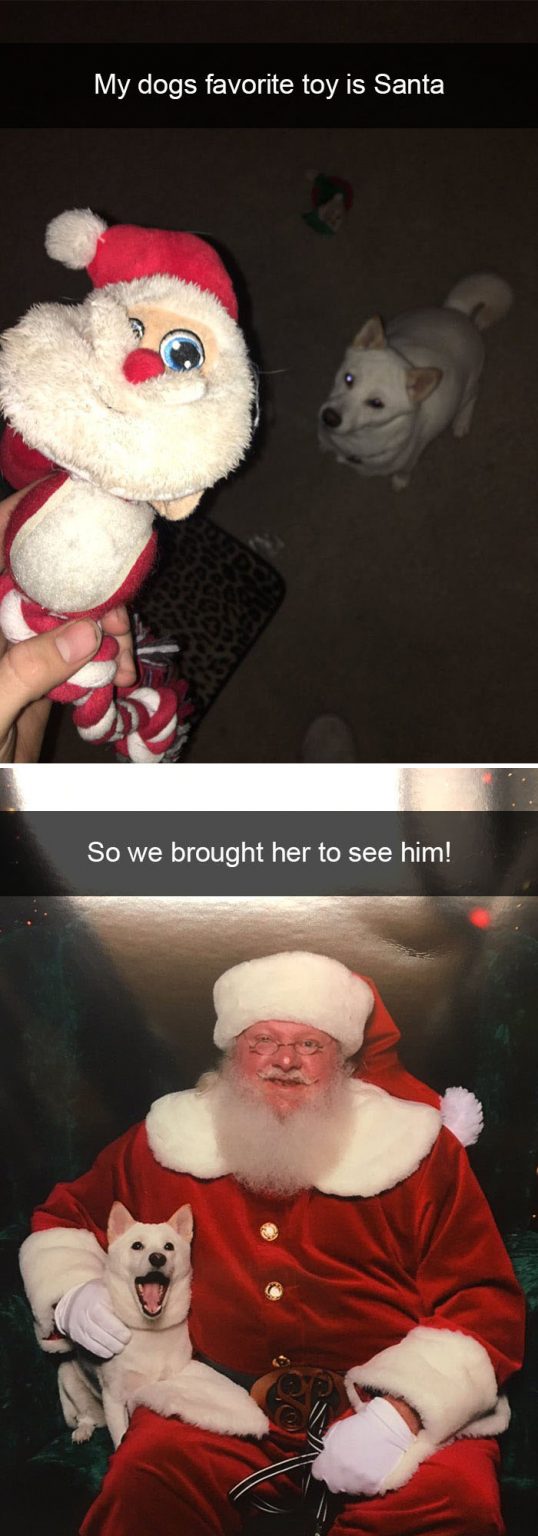 40 Hilarious Christmas Posts That Will Give You A Good Chuckle