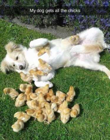 40 Hilarious Puns People Saw And Just Had To Share Them