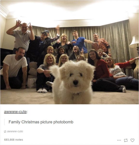 40 Hilarious Christmas Posts That Will Give You A Good Chuckle