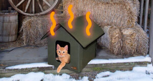 Outdoor Cats Will Love Relaxing In This Heated Cat House