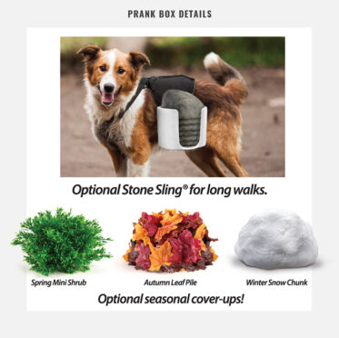 Simply Cover And Go With The New 'Hide-A-Poo' For Dog Owners