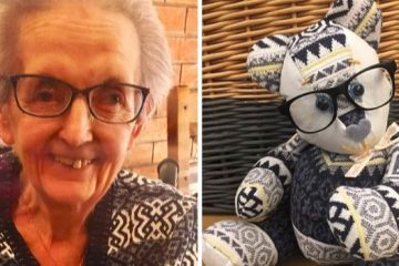 Meet 'Chowder' - The Chow Chow That Looks Just Like A Giant Plush Teddy ...