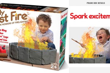 Simply Cover And Go With The New 'Hide-A-Poo' For Dog Owners