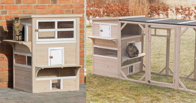 Your Cat Can Now Hop On The Property Ladder With A Luxury Cat House