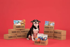 BarkBox 2 In 1 Plush Toys Are Perfect For Dogs That Destroy Soft Toys