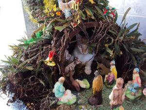 28 Times Cats Were Spotted Hilariously Crashing Nativity Scenes