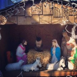 28 Times Cats Were Spotted Hilariously Crashing Nativity Scenes