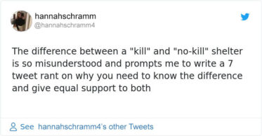 This Girl Explains The Difference Between ‘Kill’ And ‘No-Kill’ Animal ...