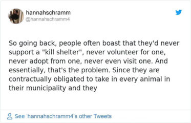 This Girl Explains The Difference Between ‘Kill’ And ‘No-Kill’ Animal ...