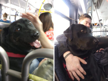 Meet 'Eclipse' The Good Girl That Takes The Bus Everyday By Herself To ...