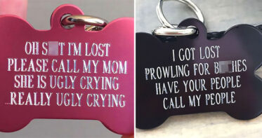 Dog Owners Are Going Barking Mad For These Funny Dog Tags