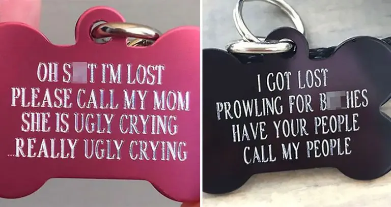 Dog Owners Are Going Barking Mad For These Funny Dog Tags