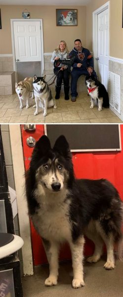 40 People Share The Most Wholesome Rescue Pet Photos That'll Make Your ...