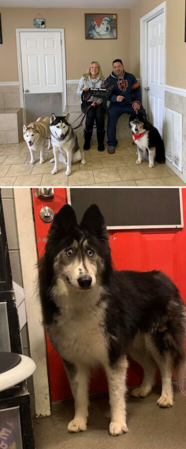 40 People Share The Most Wholesome Rescue Pet Photos That'll Make Your ...