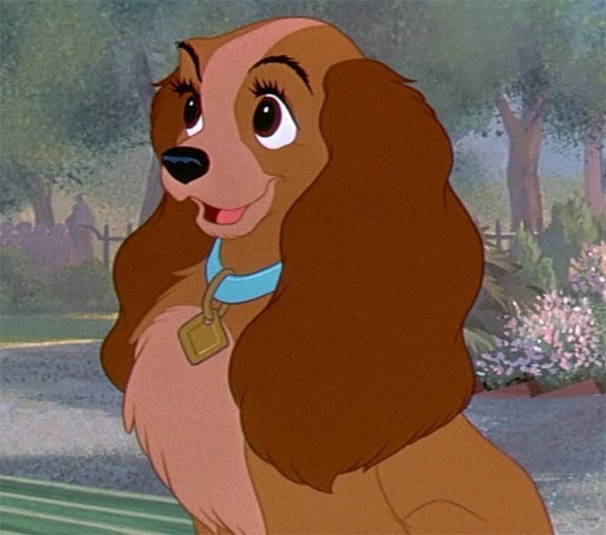 'Winnie' The Cocker Spaniel Looks Like A Real-Life Disney Character